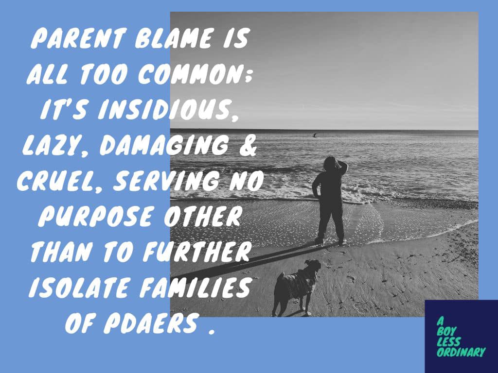When in doubt, blame the parents – A Boy Less Ordinary